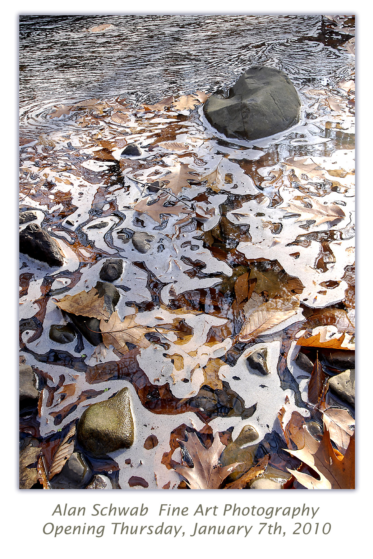 Gallery Show by Bergen County Camera Employee Alan Schwab - Bergen ...