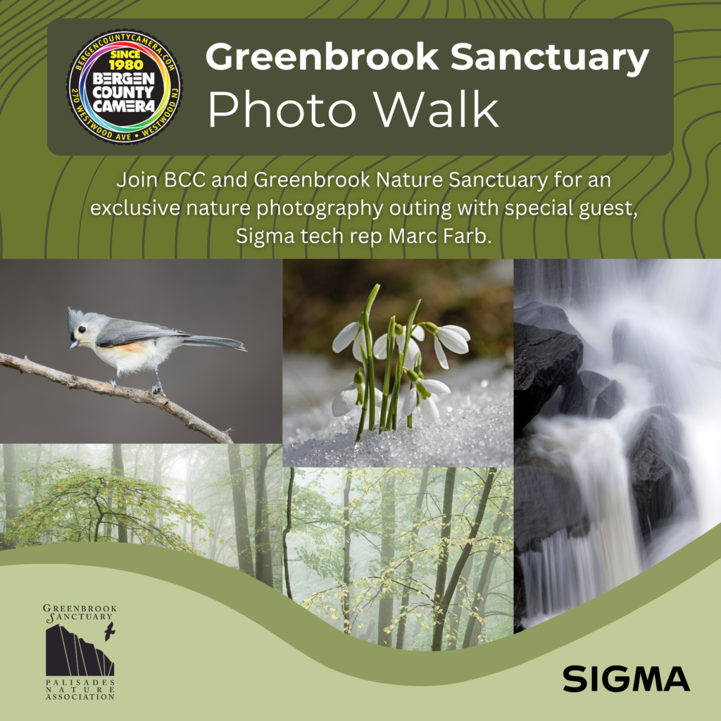 Greenbrook Sanctuary Nature Walk with Sigma - Bergen County Camera Blog